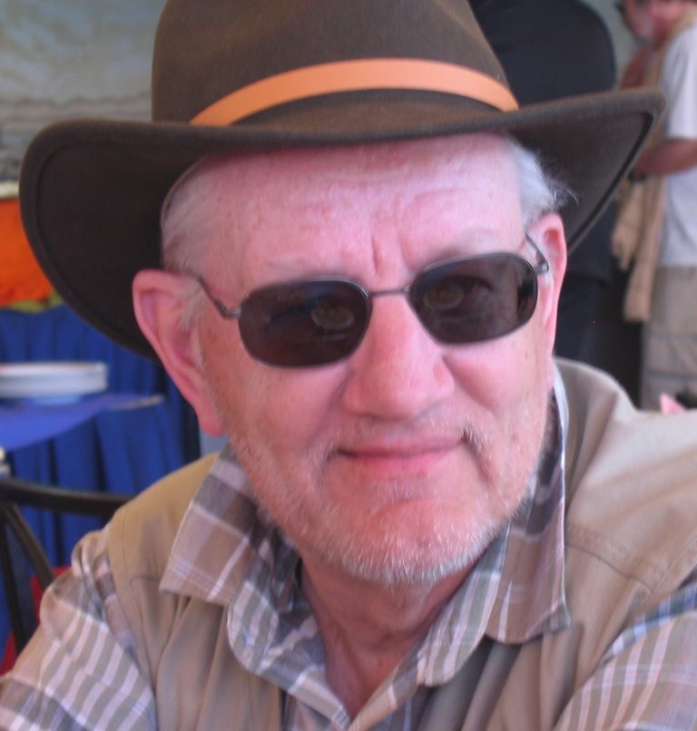 In the Shadow of His Hand by Donald L. Brake - Mesu Andrews